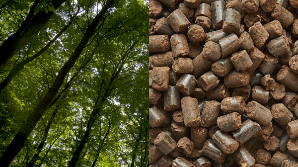 Verdo has heating delivery under control with case management